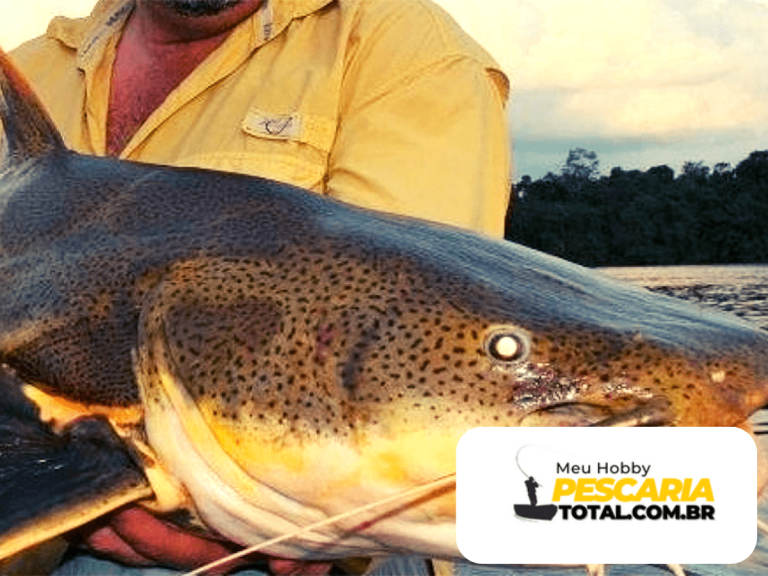 Peixe Pirarara: Descubra o Gigante das Águas - Pescaria Total